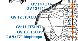 Yin Yang House | GV 14 Acupuncture Point Theory