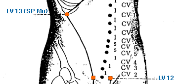 Yin Yang House | LV 13 Acupuncture Point Theory