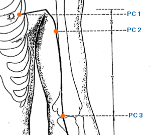 Yin Yang House | PC 3 Acupuncture Point Theory