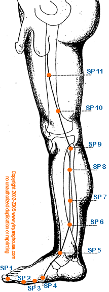 Yin Yang House | Spleen Meridian Acupuncture Points Database