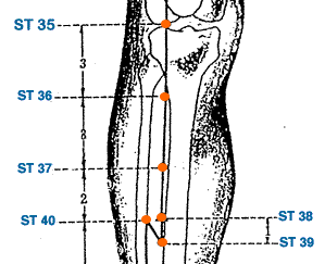Yin Yang House | ST 40 Acupuncture Point Theory